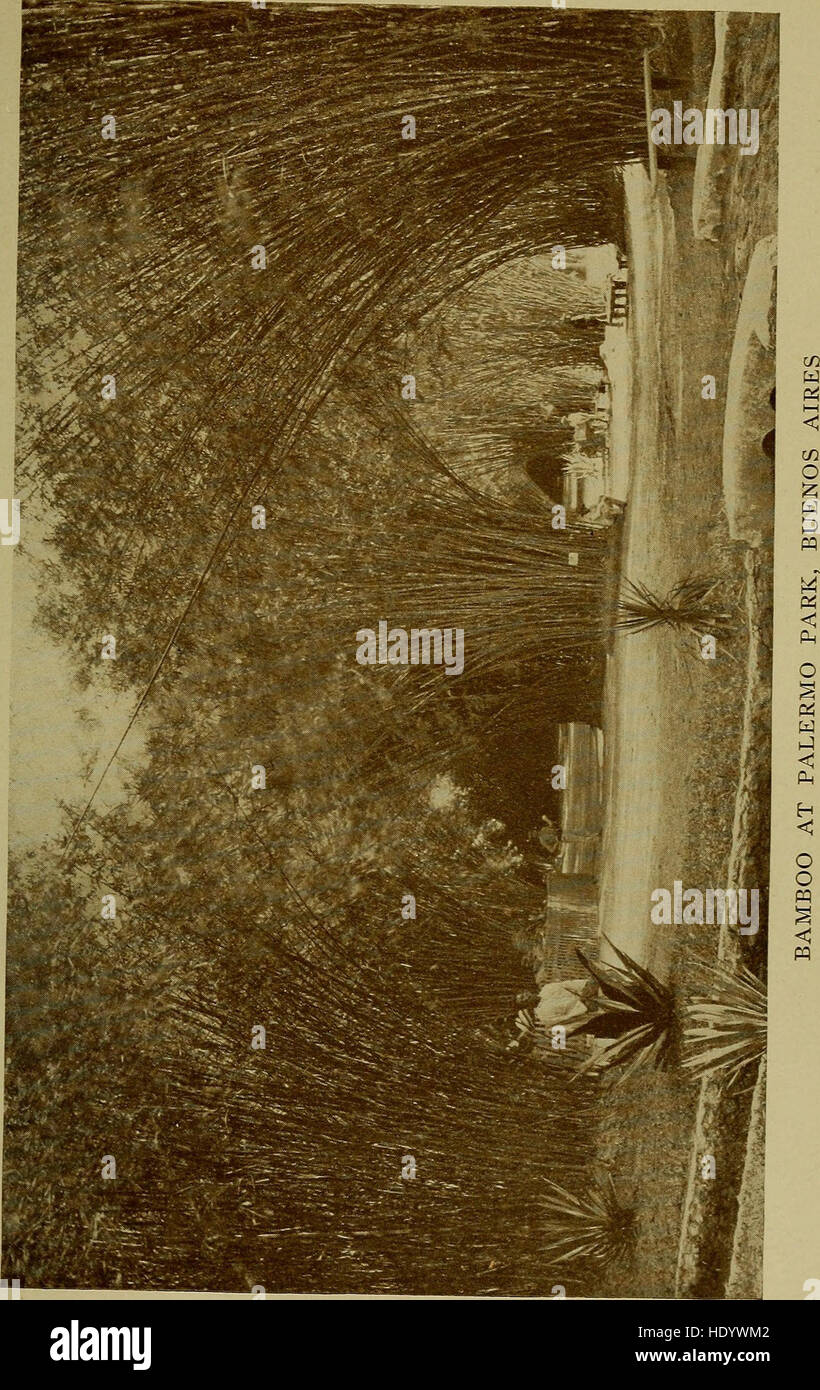 One way round South America, from manuscript, notes and letters of ...