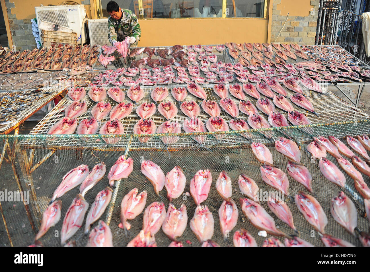 Kun fish hi-res stock photography and images - Alamy