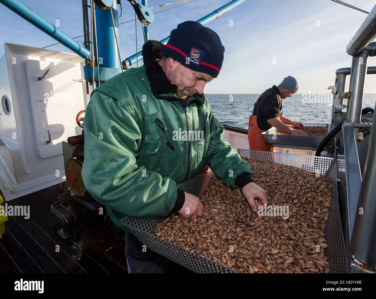Shrimp fisherman Stephan Hellberg and his colleague Kevin Voss (back ...