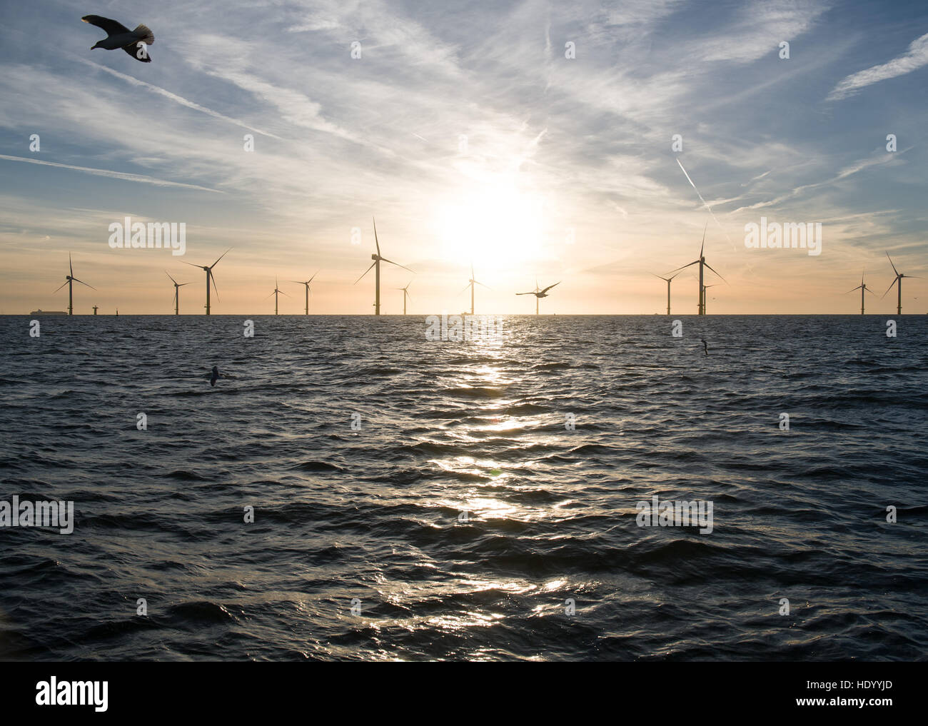 The wind turbines of the Nordergruende offshore wind farm off the coast ...