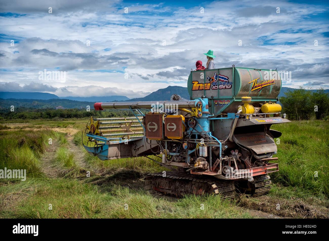 Prachinburi, Thailand. 15th Dec, 2016. A rice harvester in rural Nakhon ...