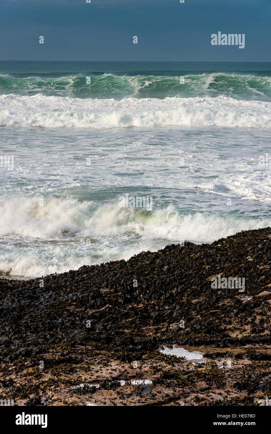 Watergate Bay, Cornwall during the Cribbar. The Cribbar, a combination ...