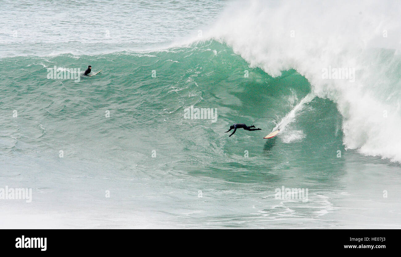 Newquay, UK. 16th December 2016. A surfer wiping out on the Cribbar ...