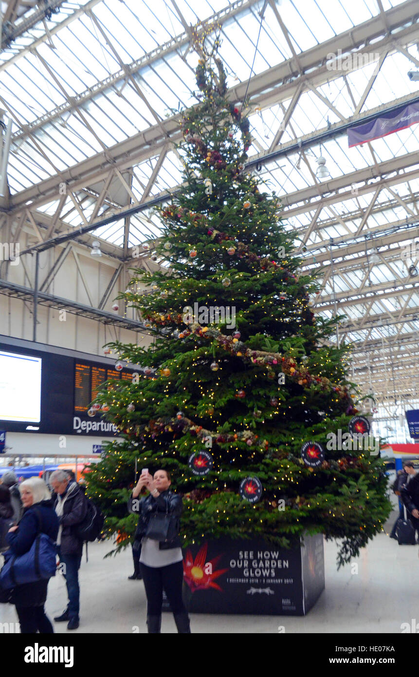 Waterloo station christmas tree hi-res stock photography and images - Alamy