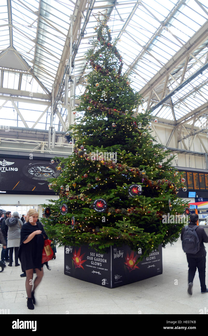 Waterloo station christmas tree hi-res stock photography and images - Alamy
