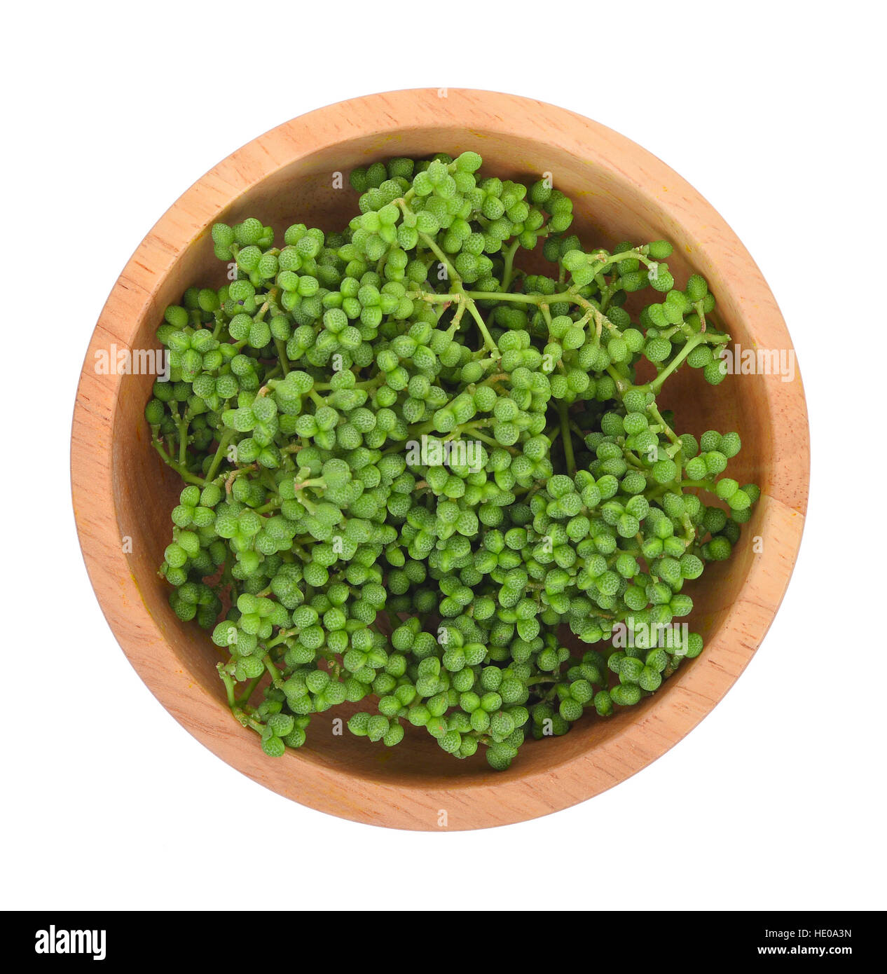 Zanthoxylum limonella alston hi-res stock photography and images - Alamy