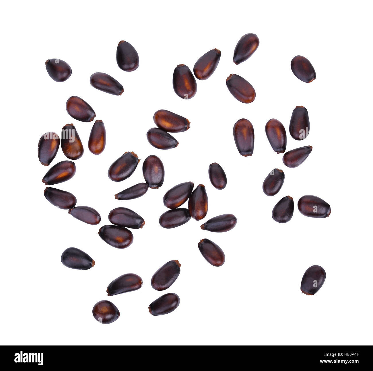 custard apple seed isolated on white Stock Photo - Alamy