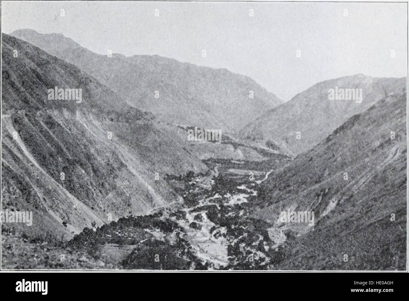 *Report of the First Expedition to South America* (1913) documents the ...