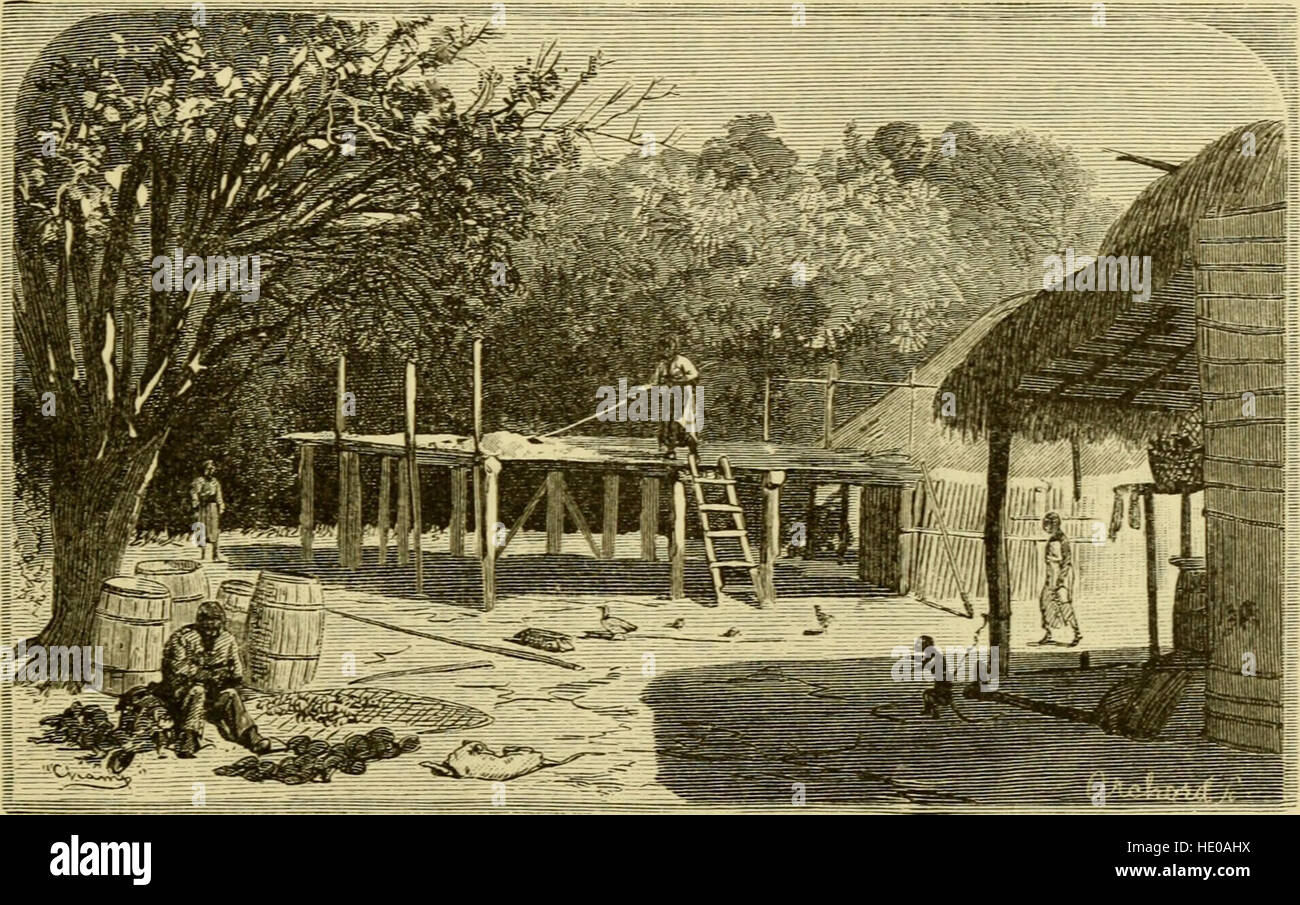This 1879 work provides an in-depth exploration of Brazil’s Amazon ...