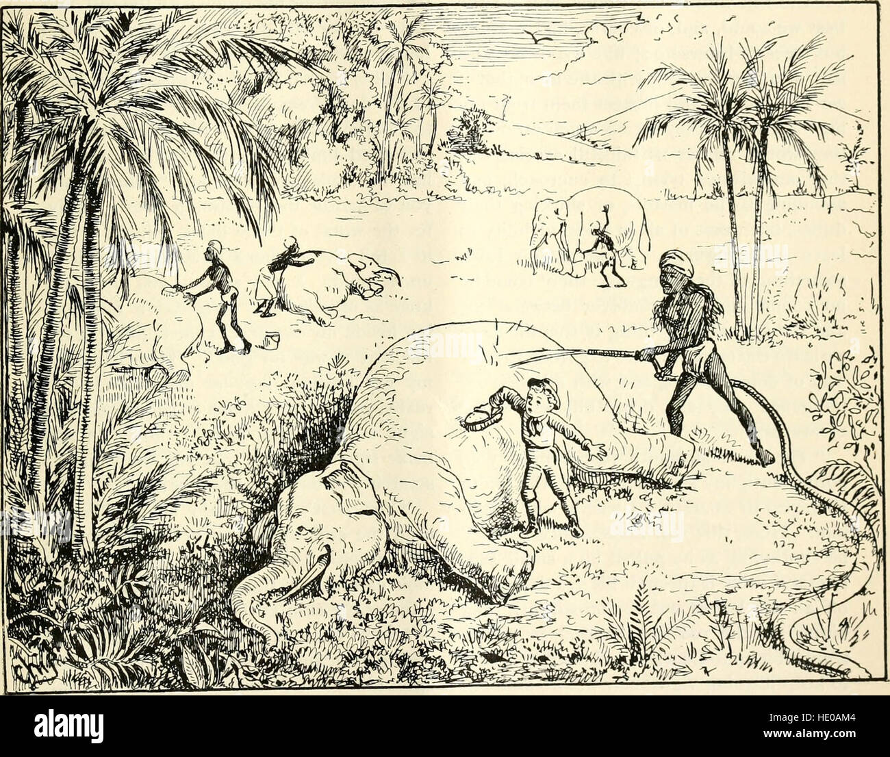 The Audubon magazine, first published in 1888, focuses on ornithology ...