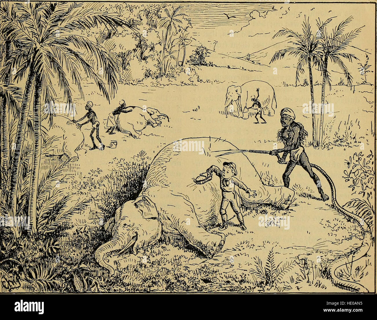 The 1887 edition of 'The Audubon Magazine' focuses on wildlife ...