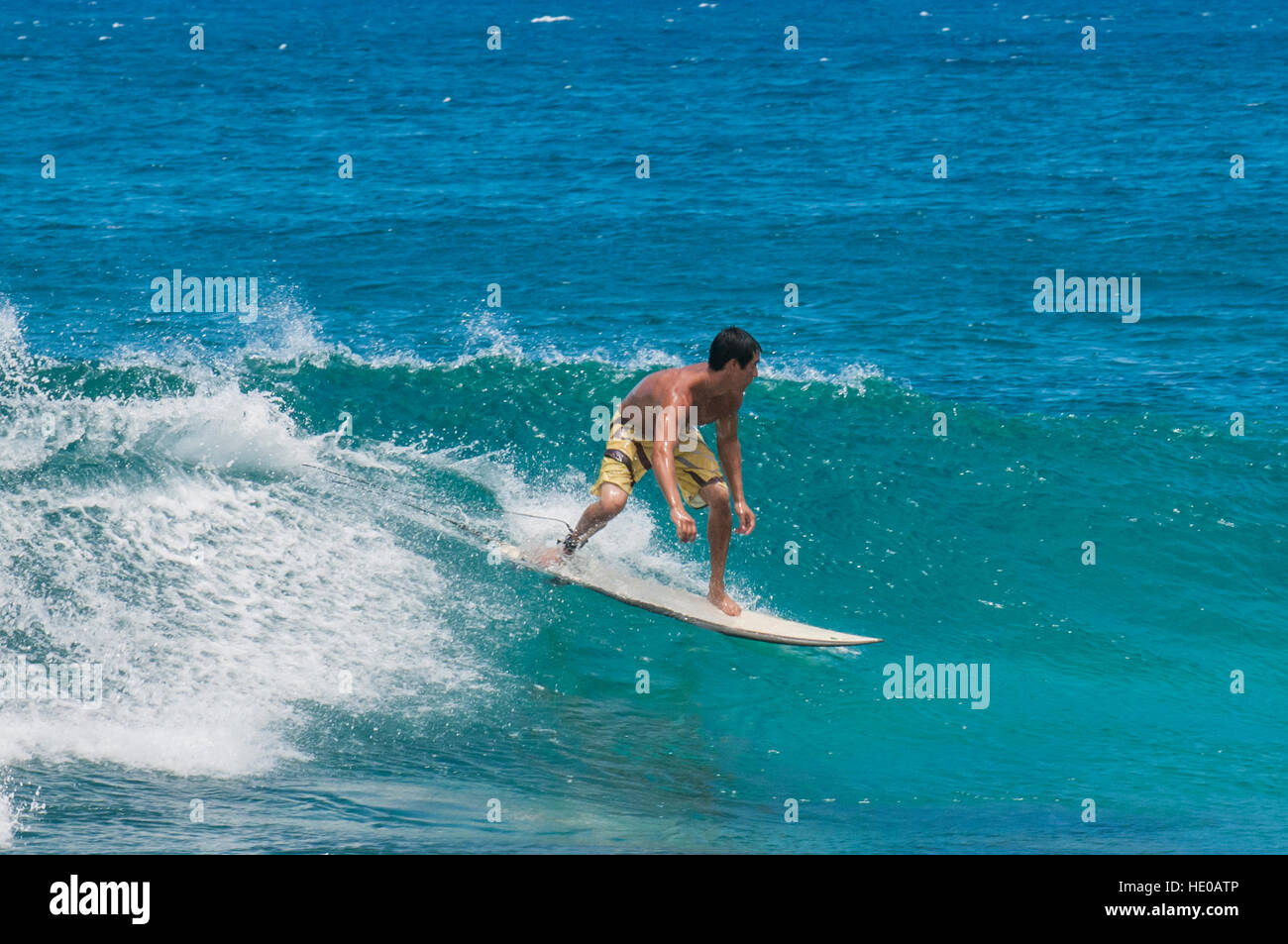 Surfing at Sunset Beach, North Shore, Oahu, Hawaii Stock Photo - Alamy