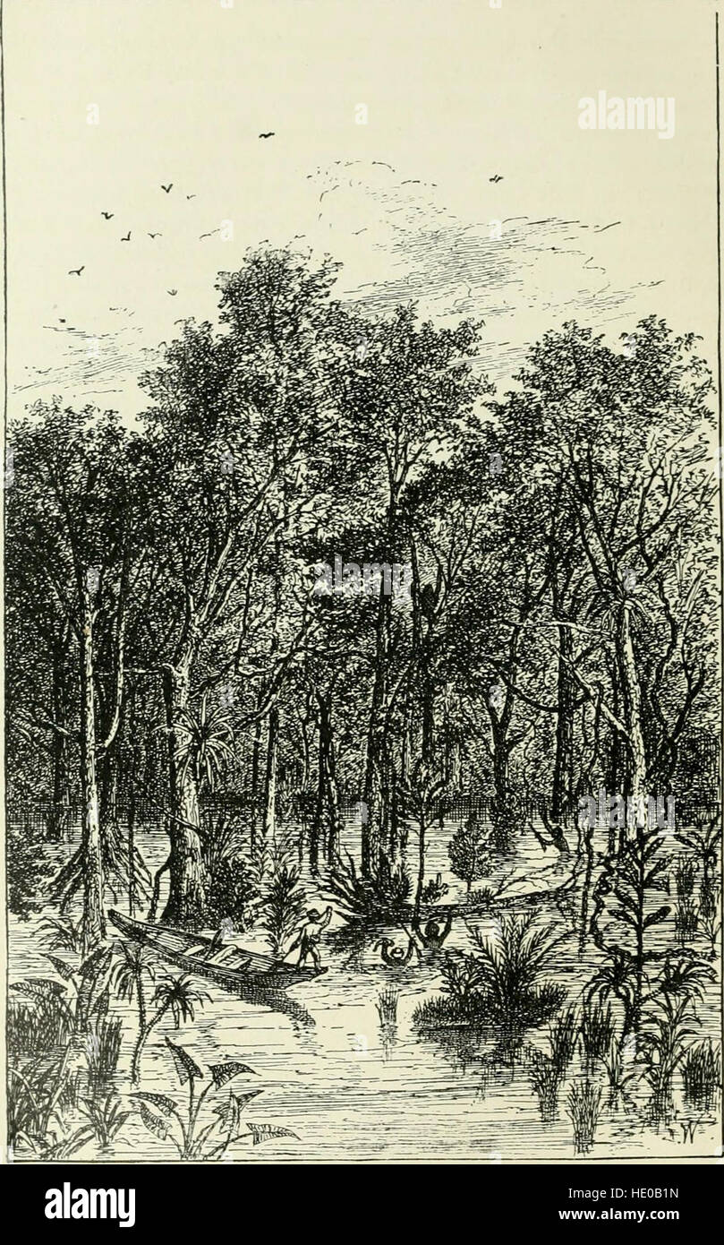 'Two Years in the Jungle' (1904) recounts the adventures of a hunter ...