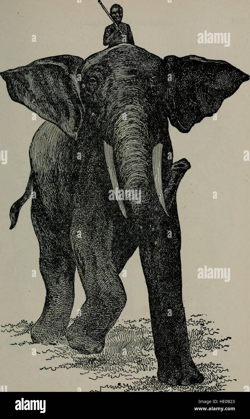 This work from 1900 explores the science behind railways, covering the ...