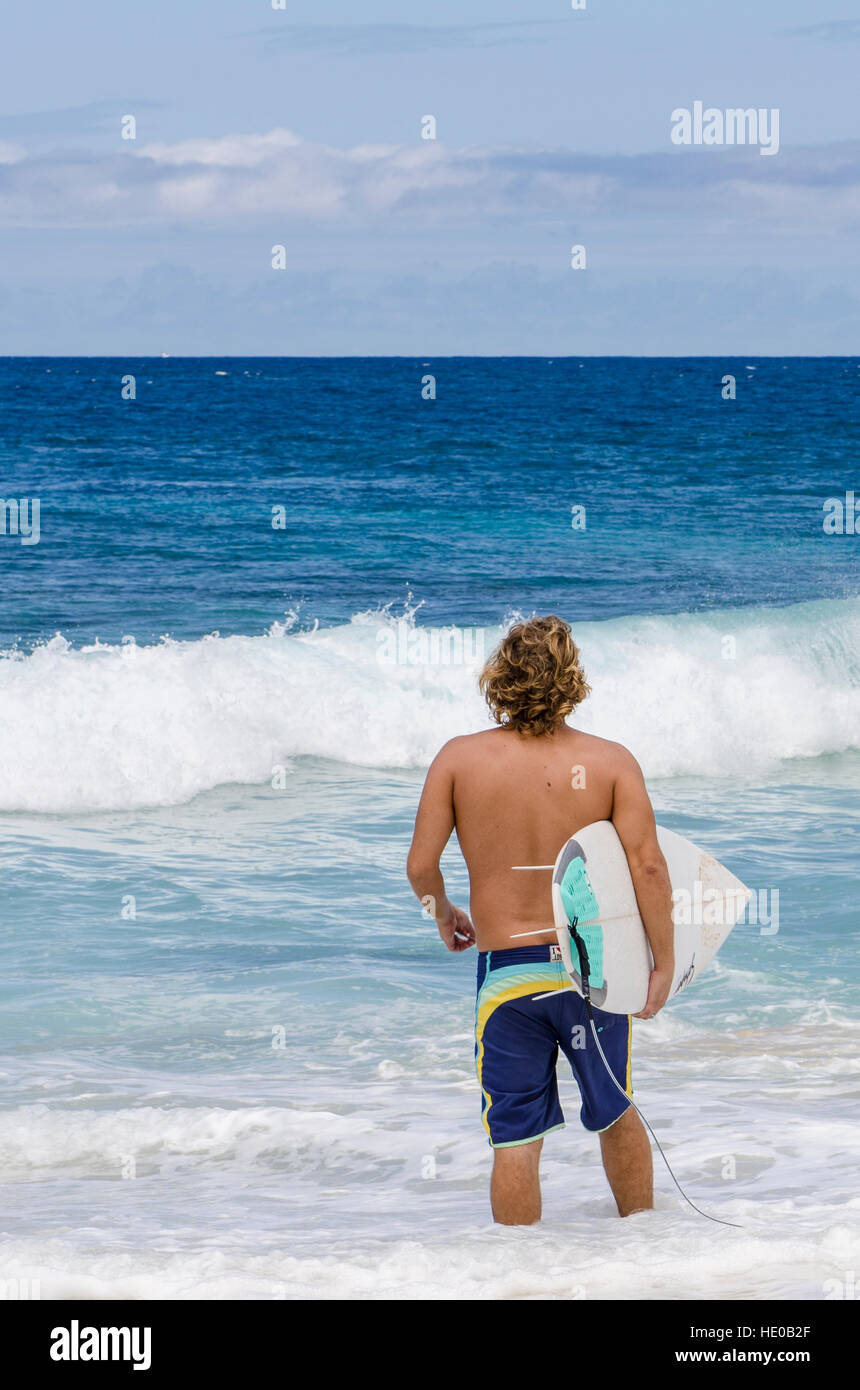 Surfing at Sunset Beach, North Shore, Oahu, Hawaii Stock Photo - Alamy
