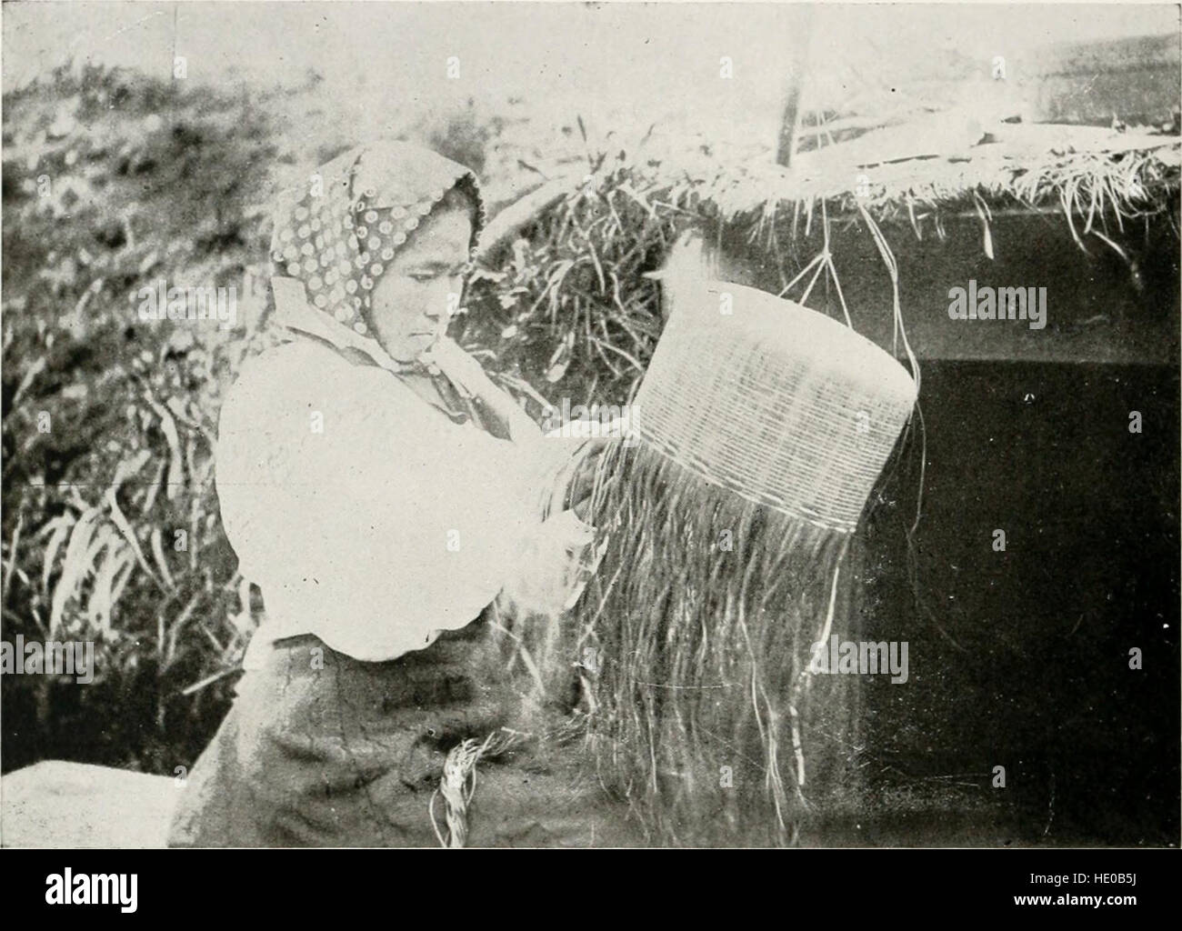 This work delves into the traditional health practices and remedies of ...