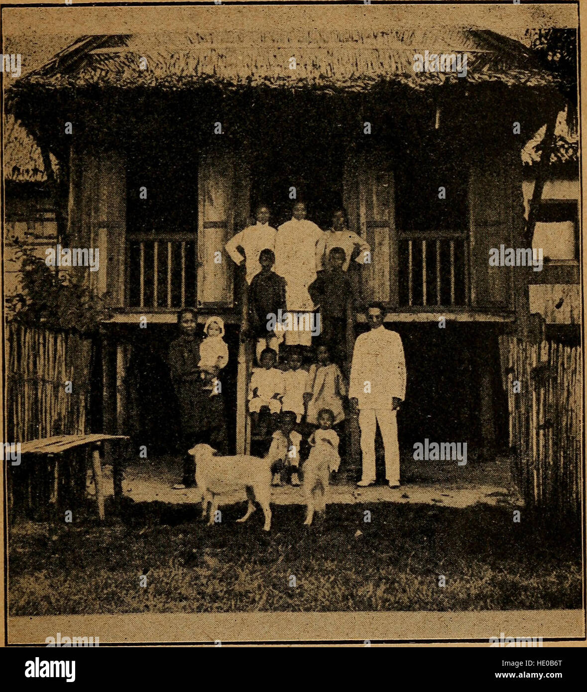 *Strange Peoples and Customs* (1921) examines the diverse cultures and ...
