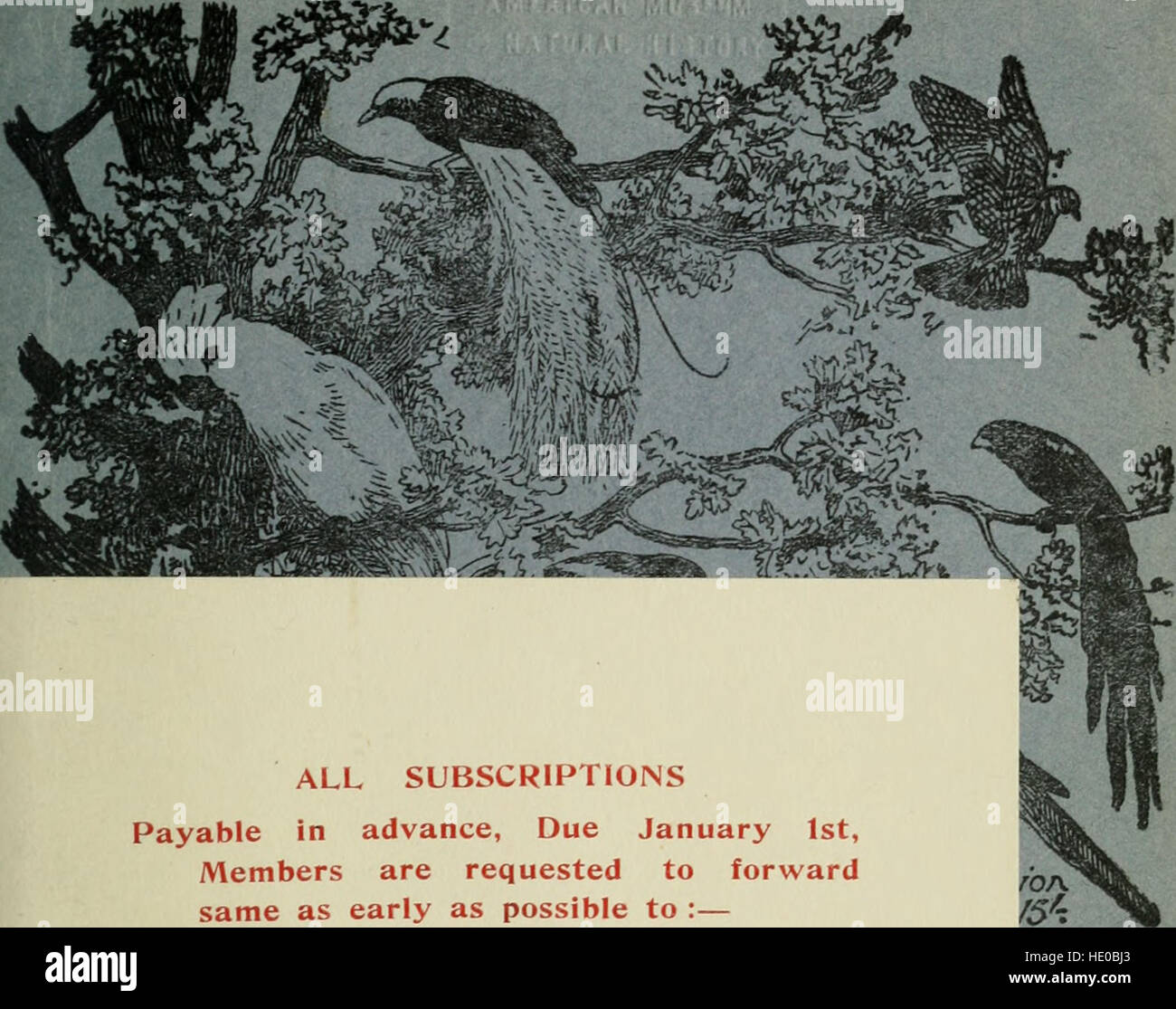'Bird Notes' (1922) provides observations and research findings on bird ...