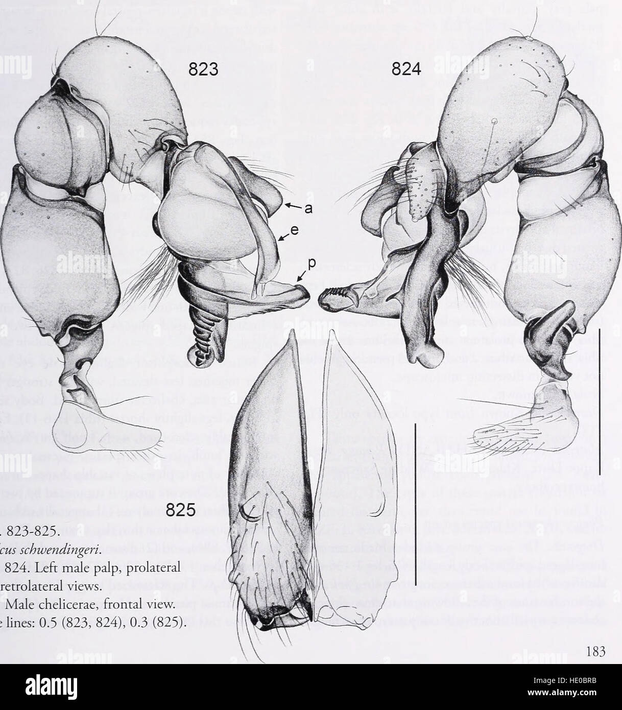 Bonner Zoologische Monographien, published in 2011, features in-depth ...