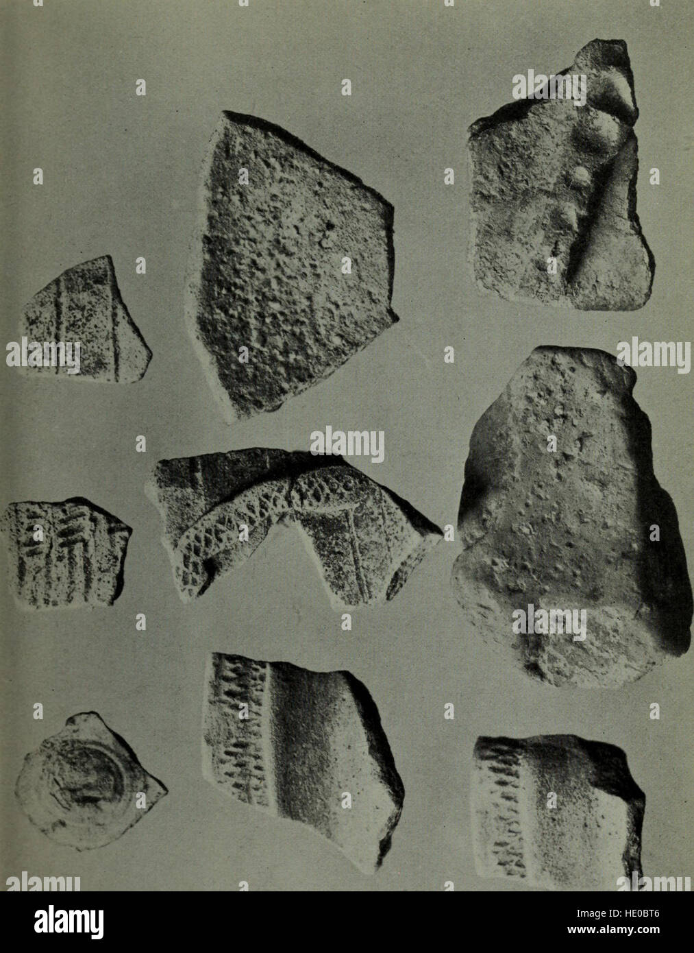 *Records by Spade and Terrier* (1918) chronicles the archaeological and ...