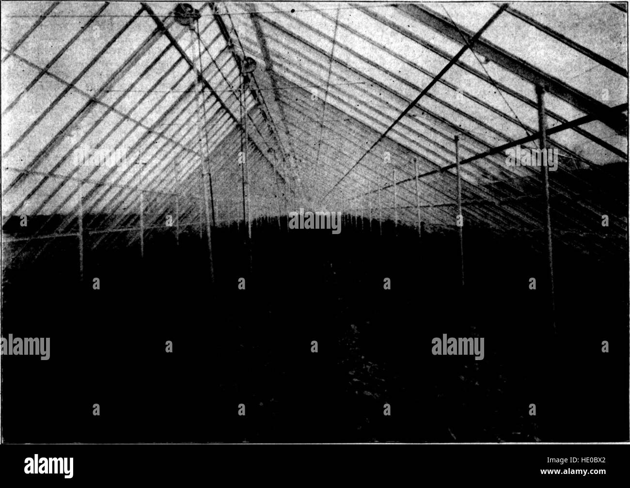 Florists' Review, a periodical dedicated to the floristry industry ...