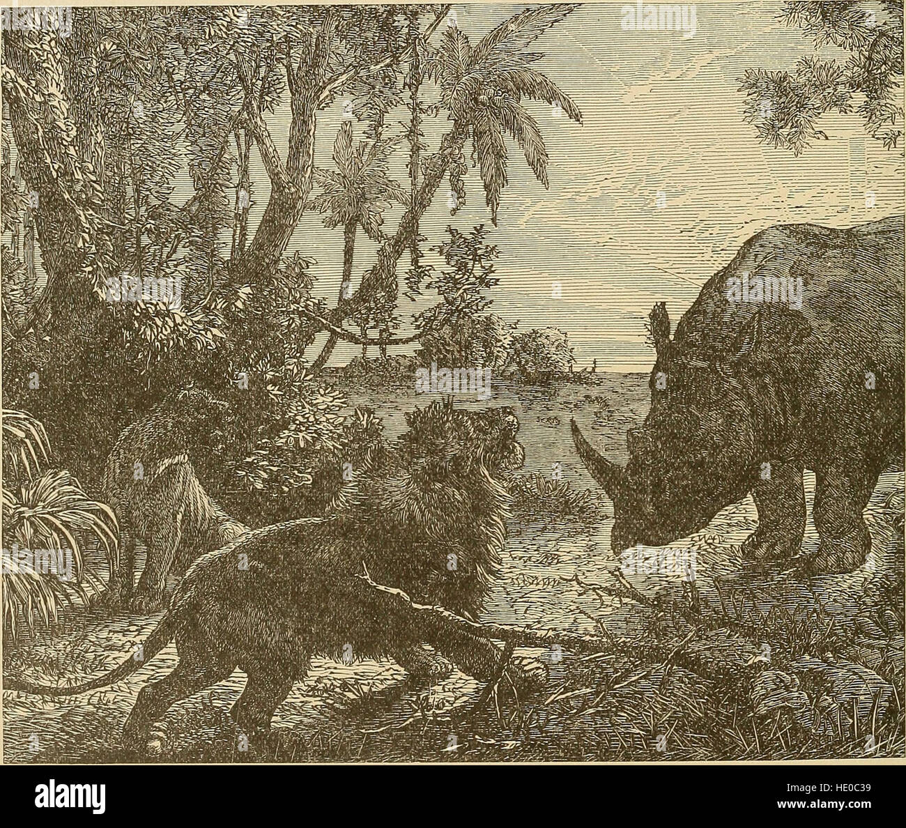 *Adventure-Travel-Exploration* (1909) offers accounts and narratives ...