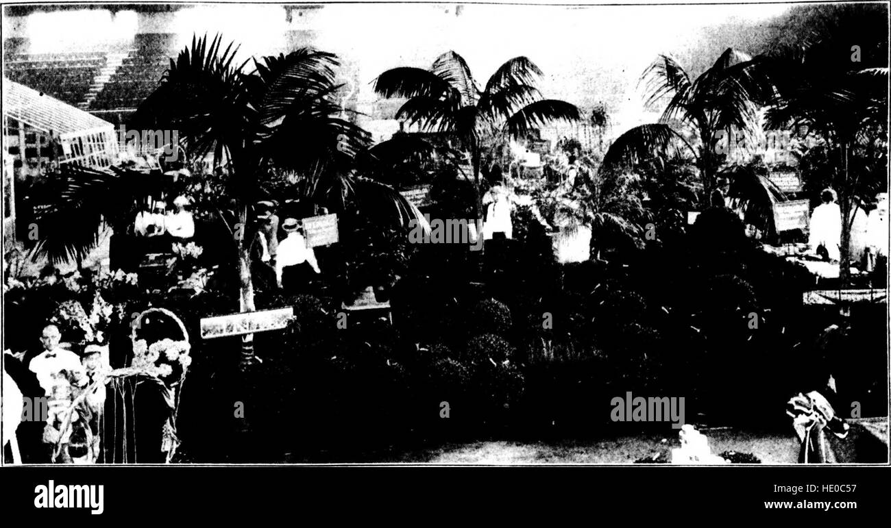 Providing tips Black and White Stock Photos & Images - Alamy