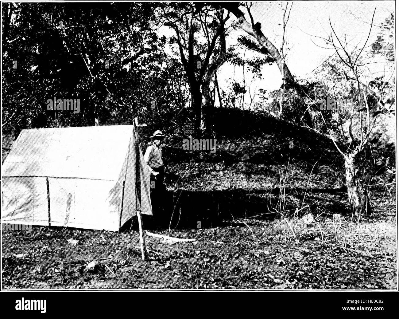 *The Naturalist in Australia* (1897) provides insights into the flora ...