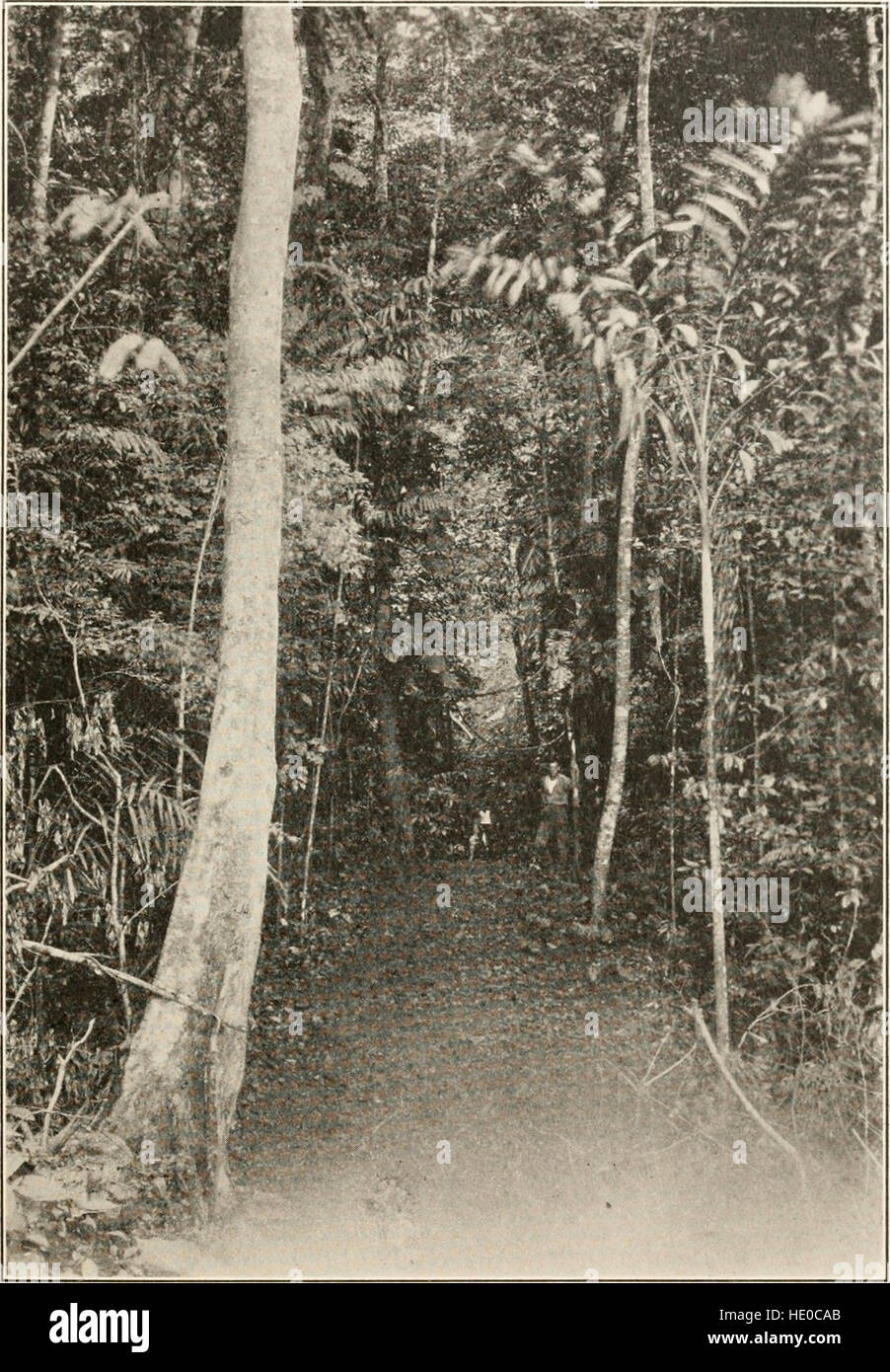 The *Biological Bulletin* publishes scientific research in the fields ...