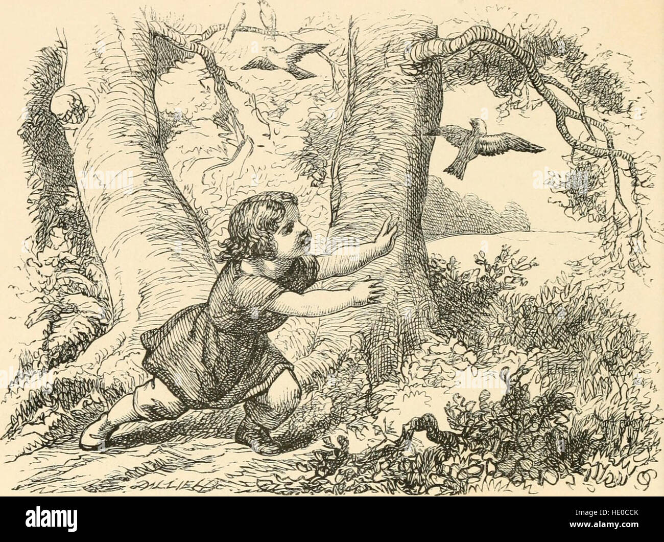 An illustrated collection of fables from 1858, combining visual imagery ...