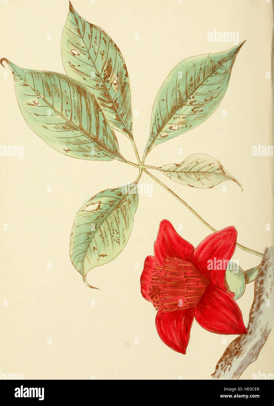 *Ad Orientem* (1889) explores the history and rituals of the Eastern ...