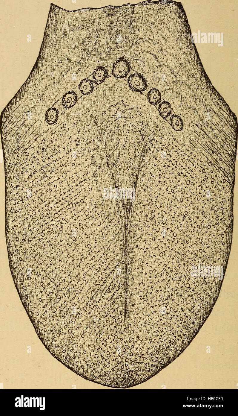 This textbook, published in 1889, covers anatomy, physiology, hygiene ...