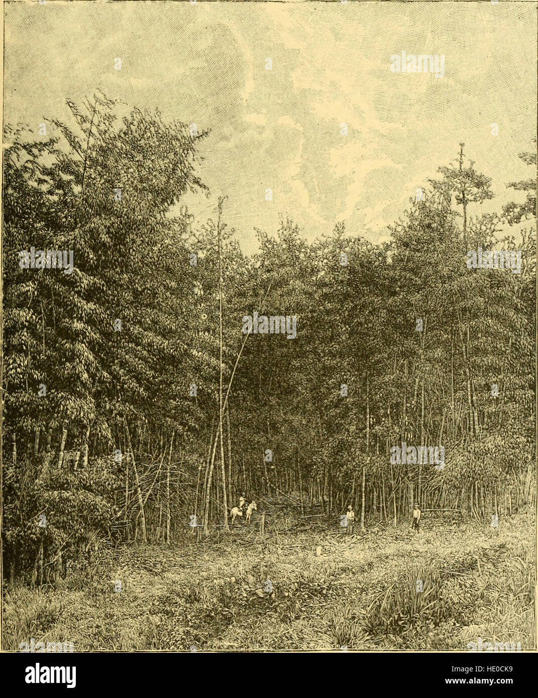 'The Earth and Its Inhabitants' (1891) explores the diverse geography ...