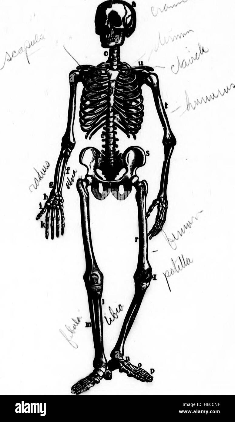 Principles biology Black and White Stock Photos & Images - Alamy