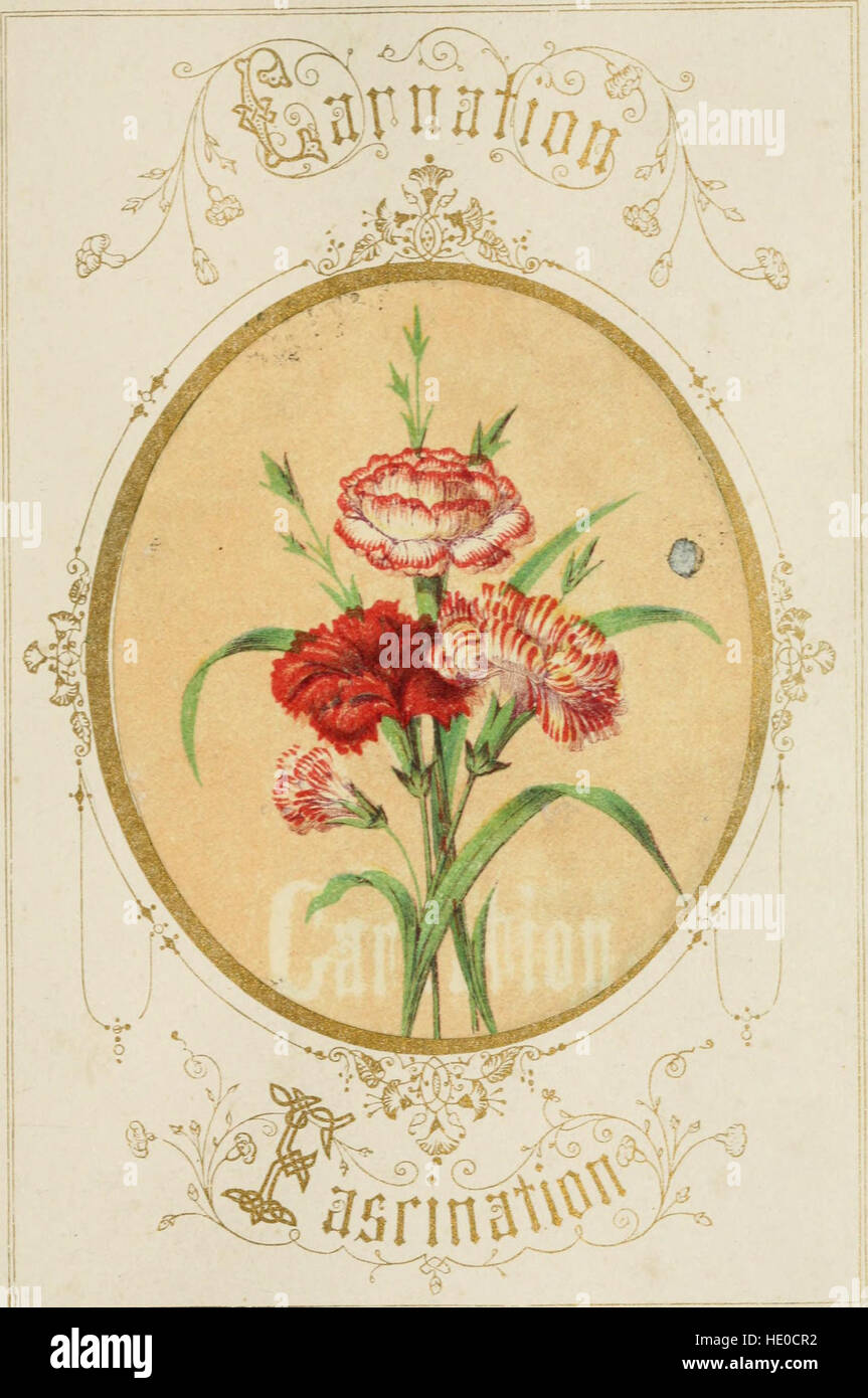 A guide from 1857 explaining the symbolic meanings behind flowers ...