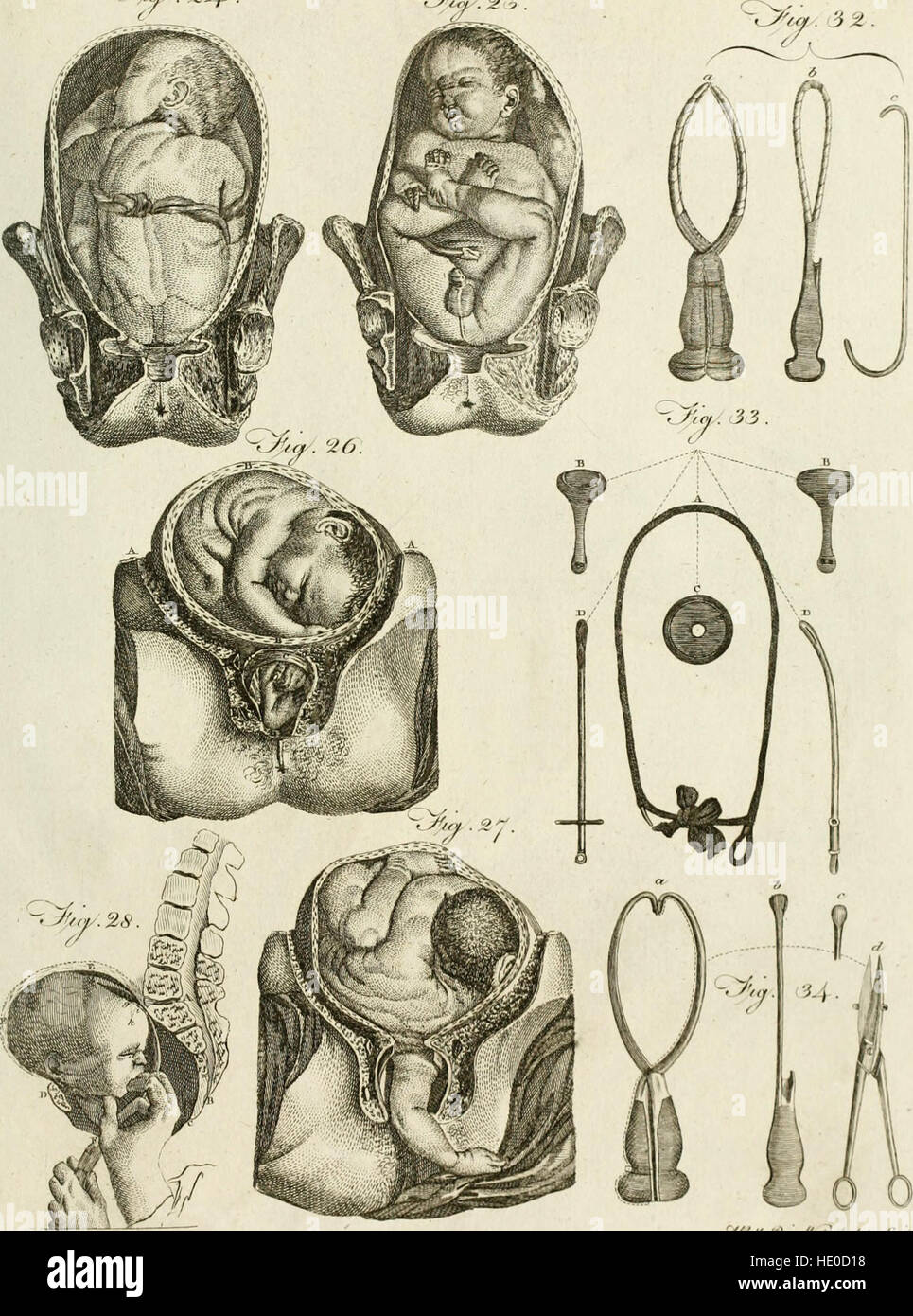 The 'Encyclopædia Britannica' is a comprehensive reference work ...