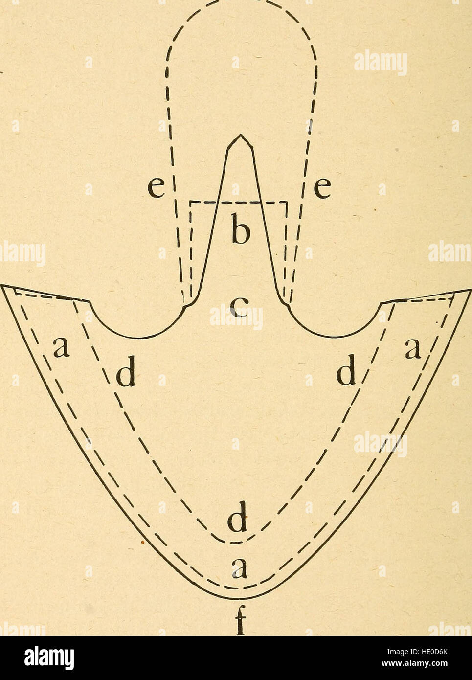 This 1908 guide offers a comprehensive, practical, and scientific ...