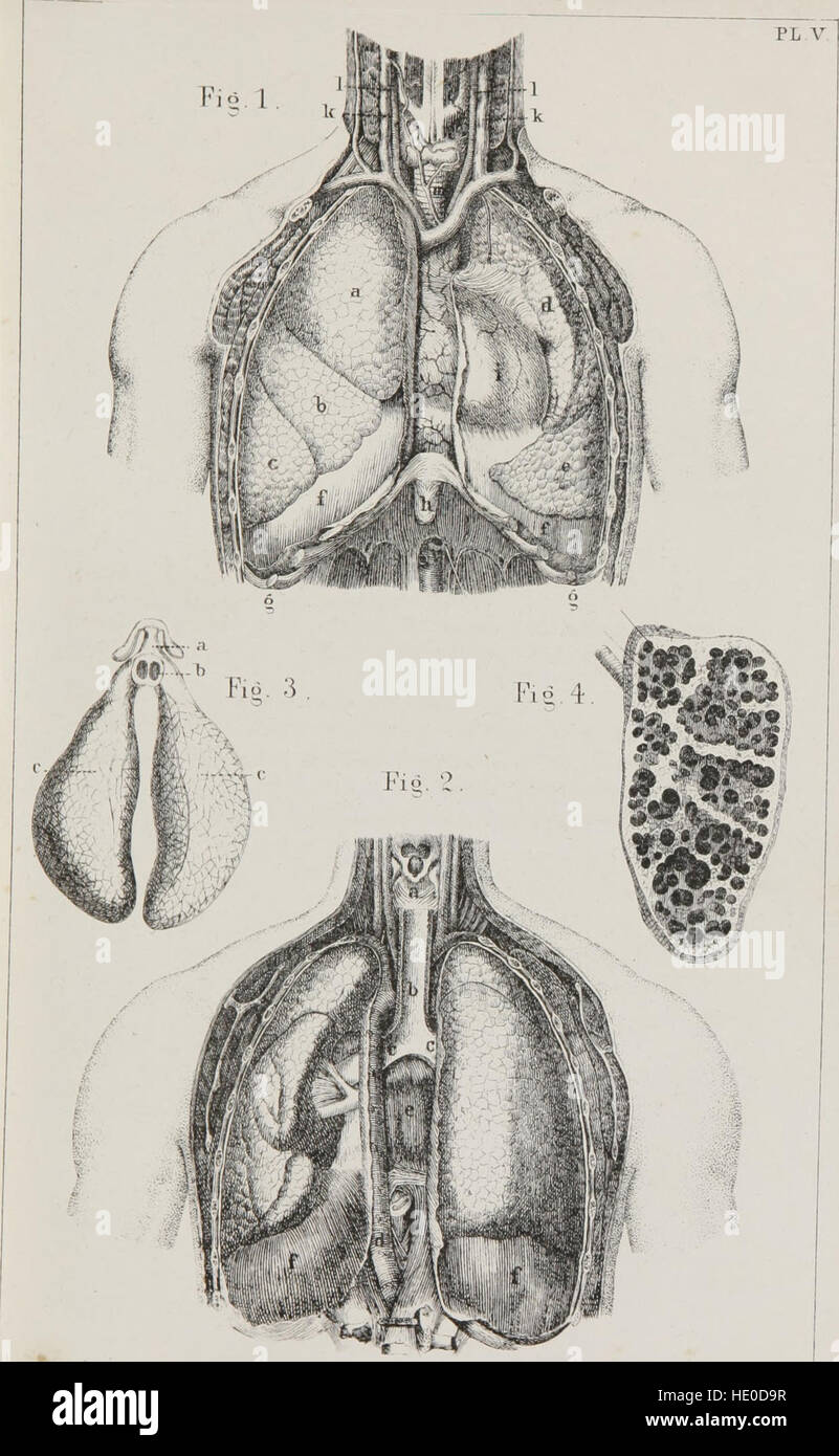 This 1860 physiology text provides an overview of the human body's ...