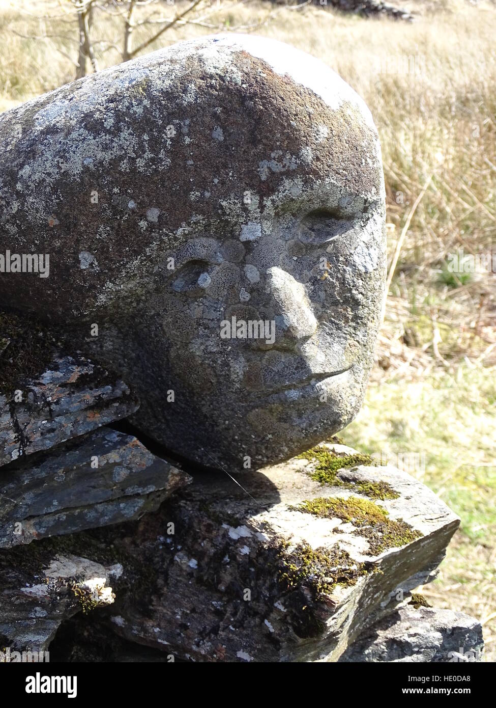 Heads faces hi-res stock photography and images - Alamy