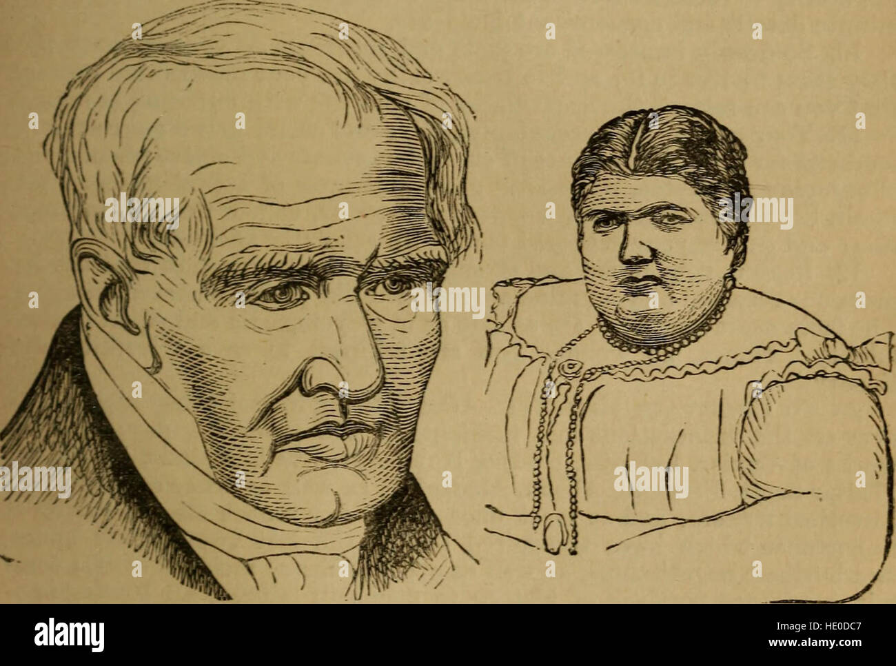 Illustrated chart hi-res stock photography and images - Alamy