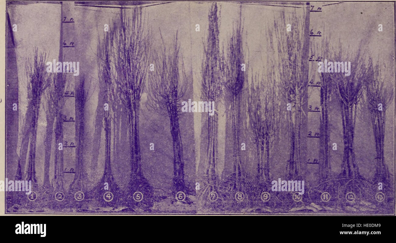 This catalogue from 1899 lists various items, including goods, products ...