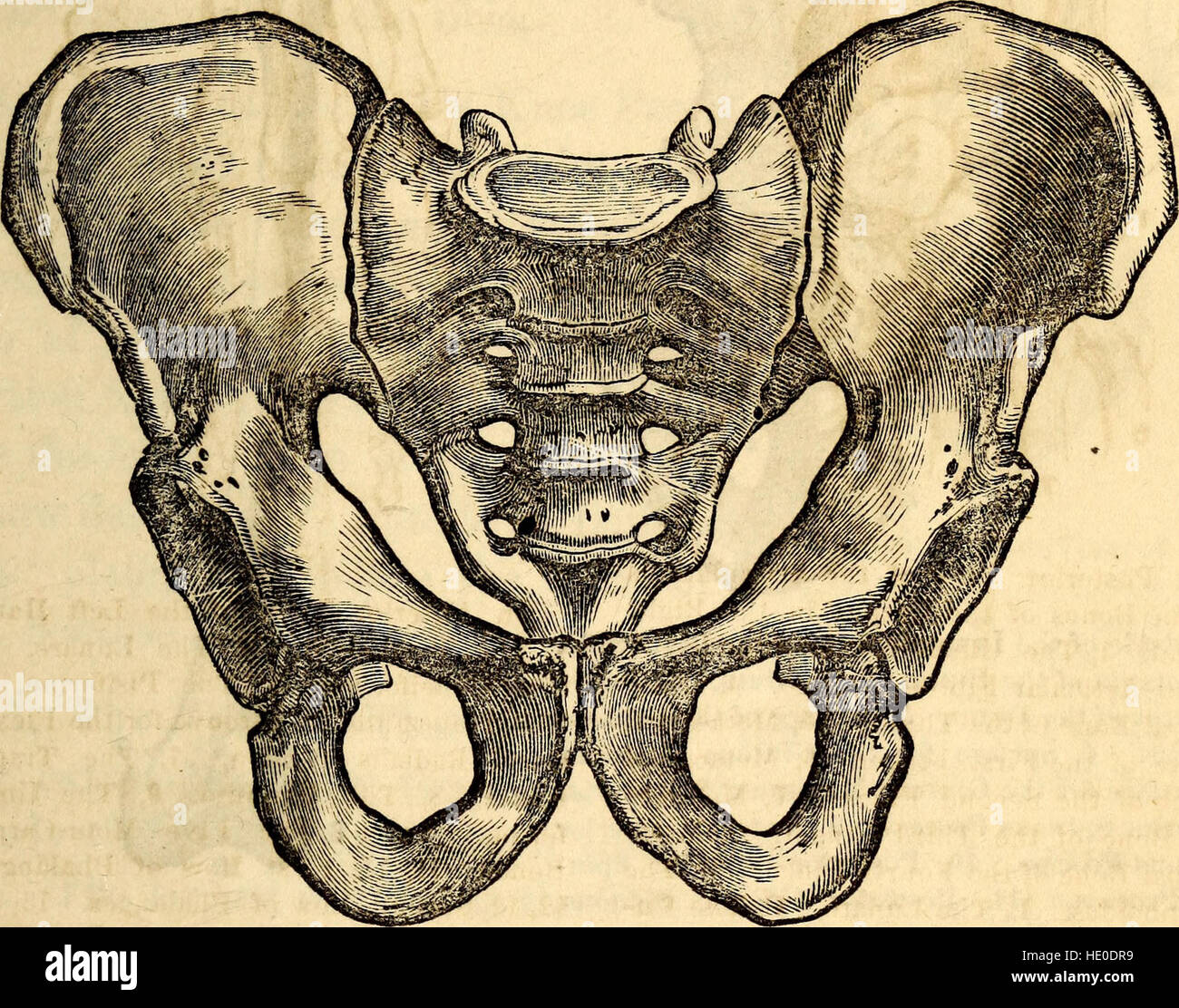 *Elementary Anatomy and Physiology* (1869) provides an introduction to ...