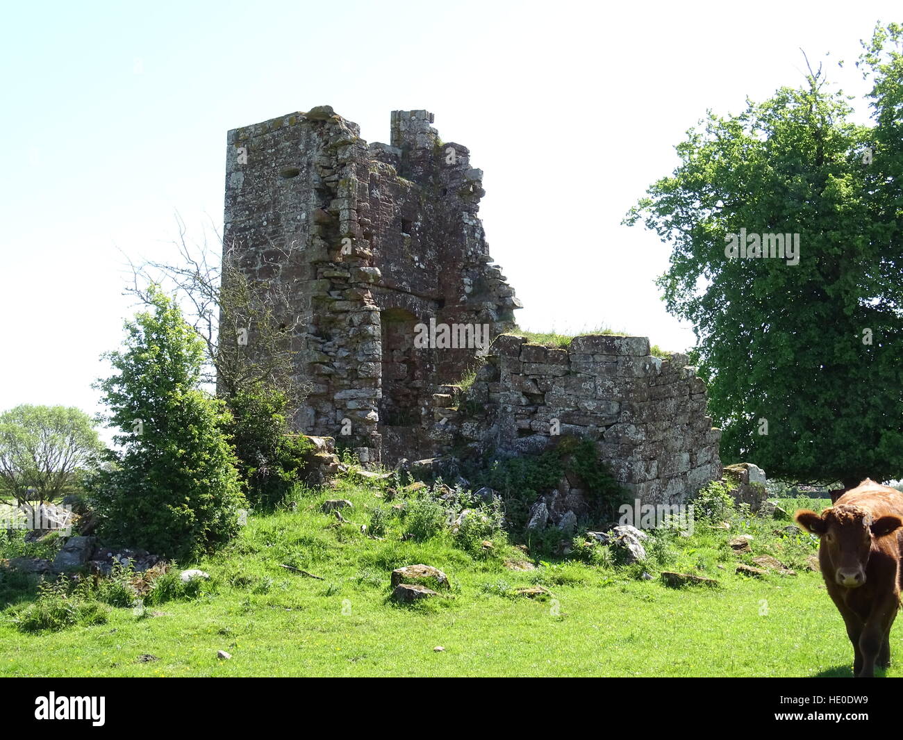 Isle Tower Caerlaverock Stock Photo - Alamy