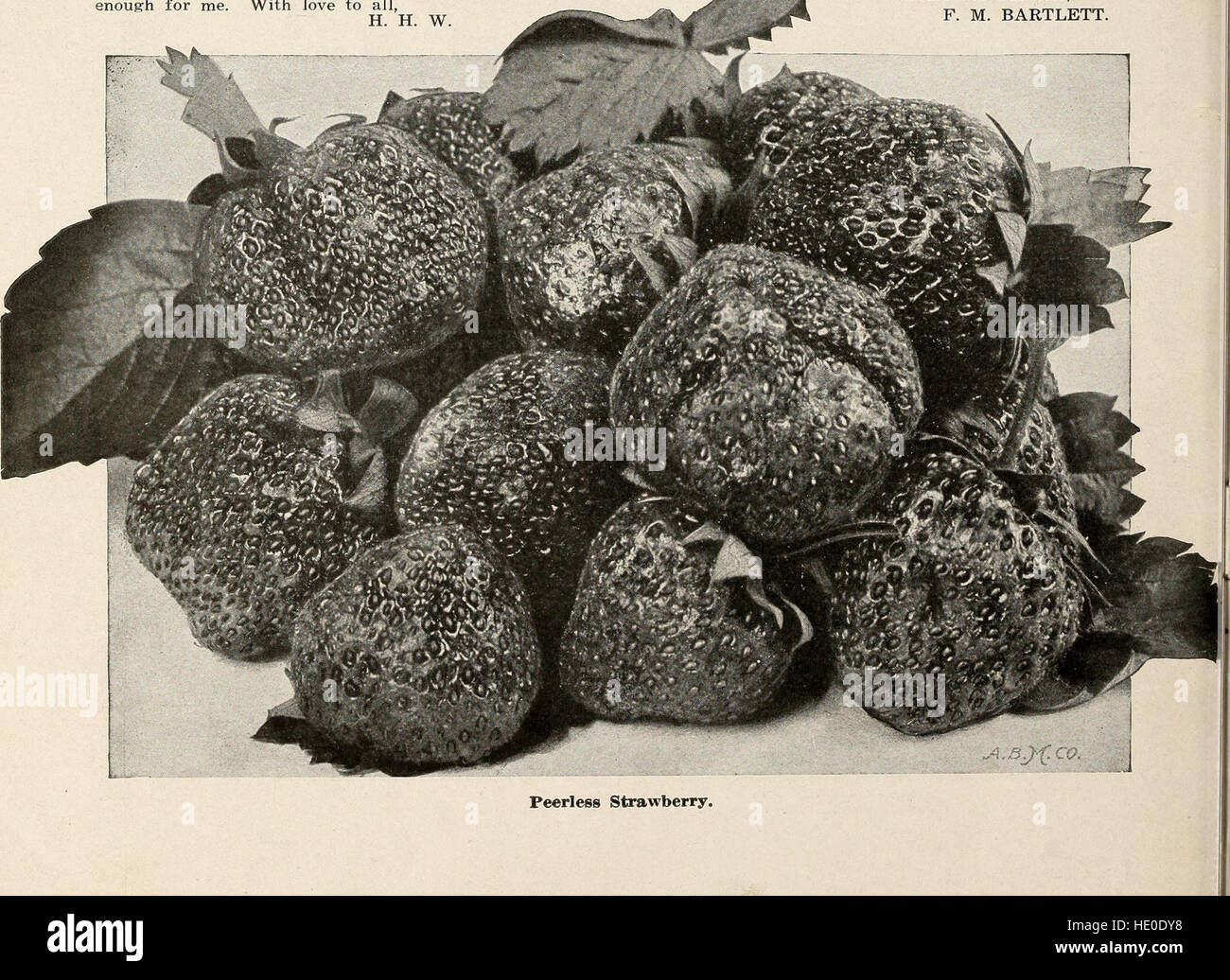 This 1918 catalogue provides essential information on cultivating ...