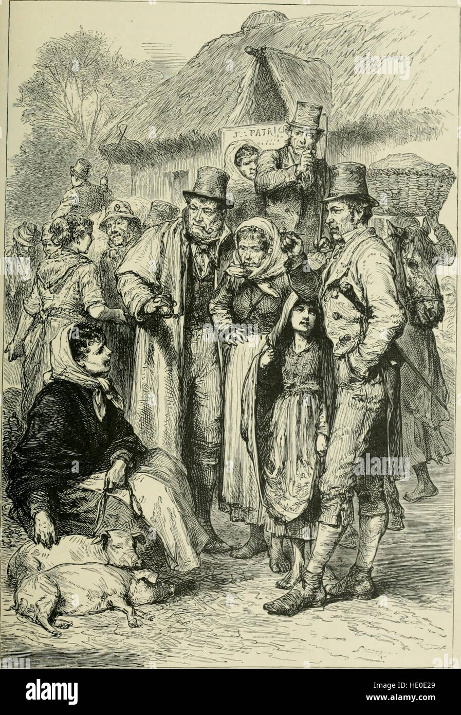 This 1882 work examines the Earth and its diverse inhabitants, covering ...