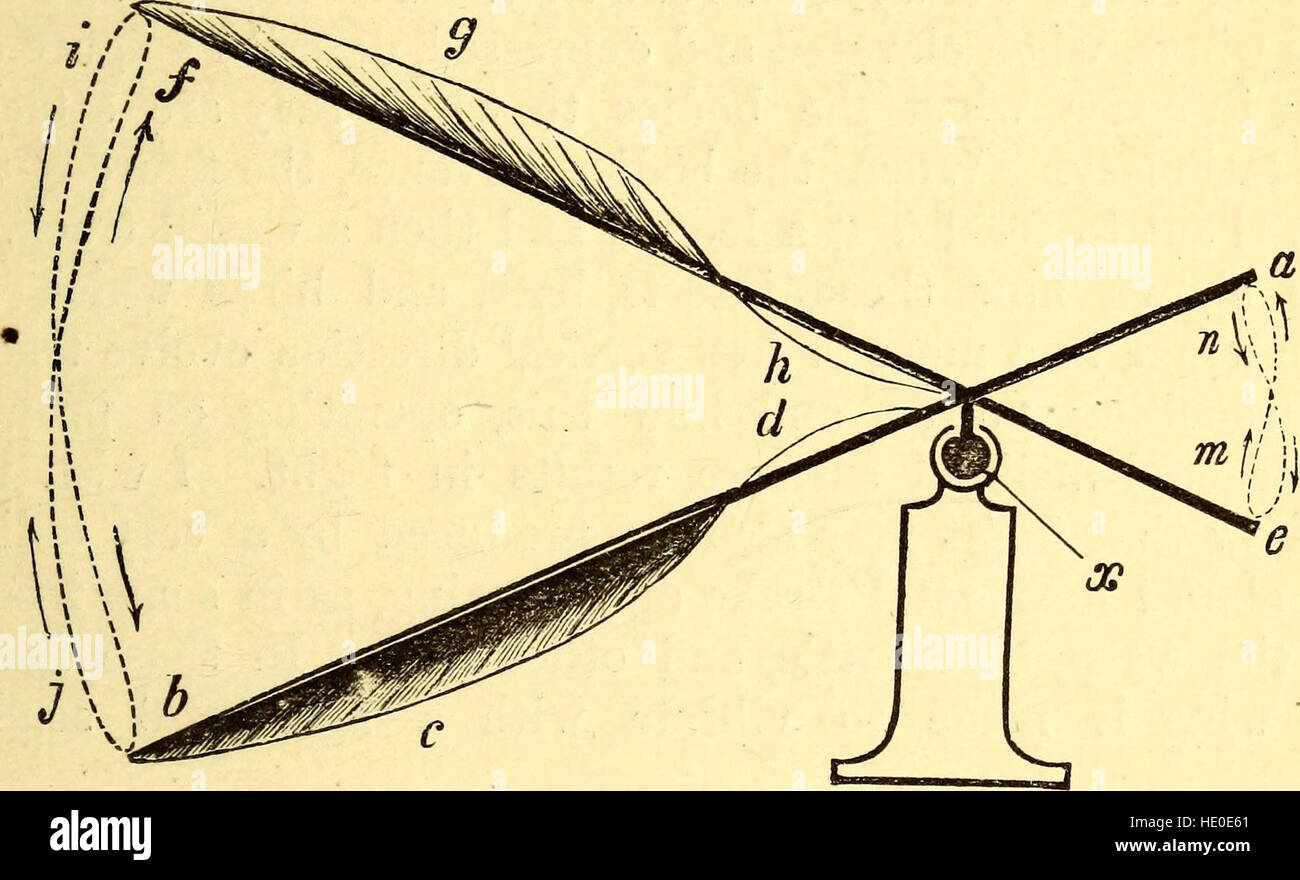 This work explores animal locomotion, detailing how animals walk, swim ...