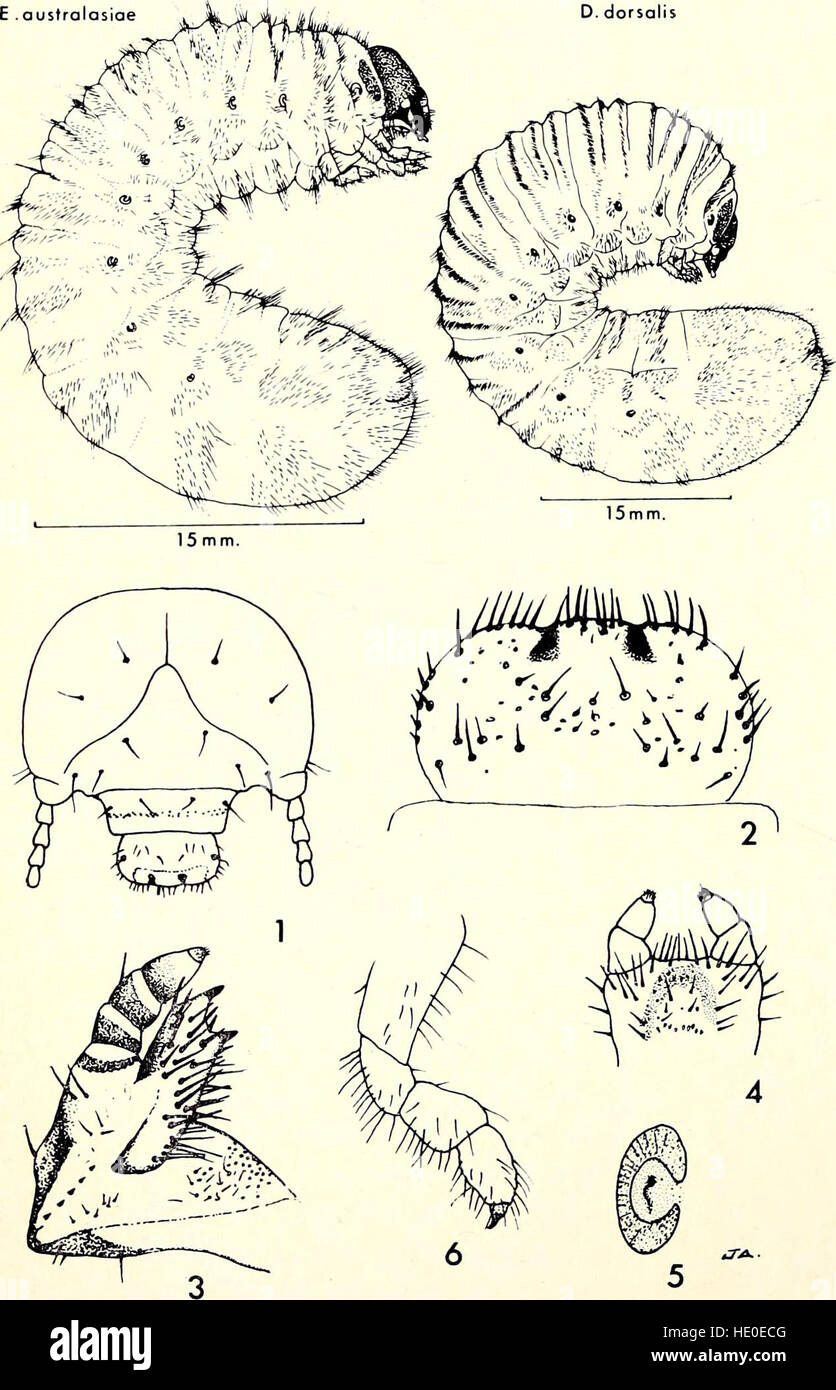 'The Victorian Naturalist' (1975) is a journal dedicated to the study ...