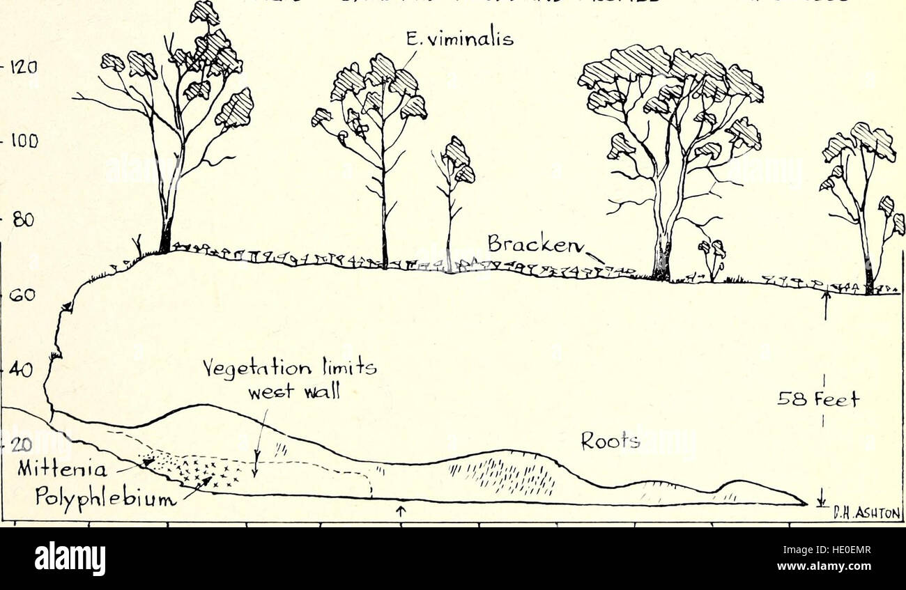 A 1968 edition of *The Victorian Naturalist*, a journal dedicated to ...