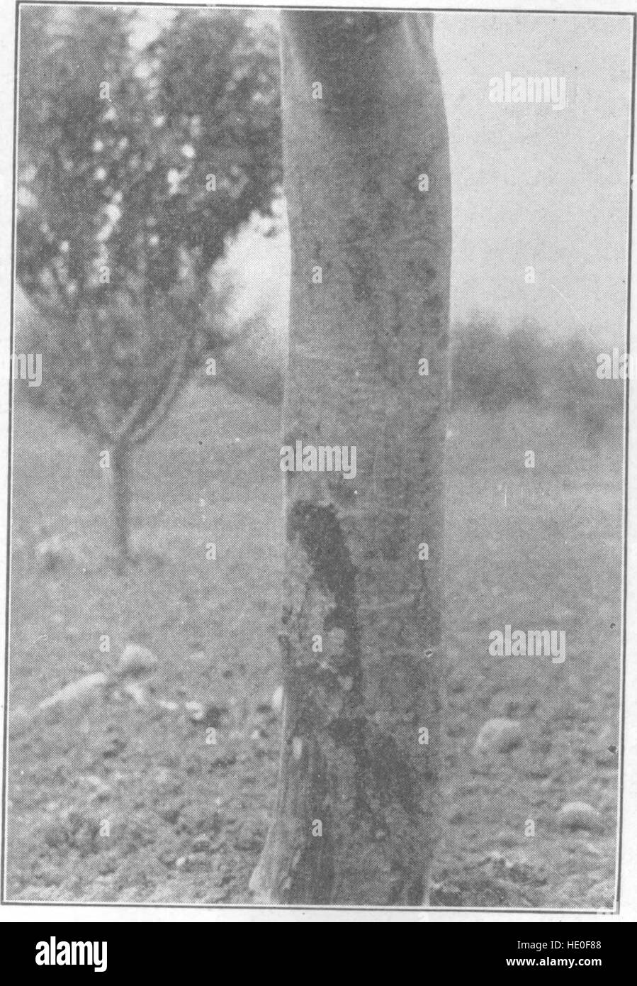 Practical phases hi-res stock photography and images - Alamy