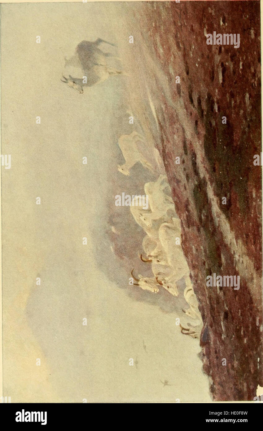 The Wilderness of the Upper Yukon (1919) details a hunter’s exploration ...